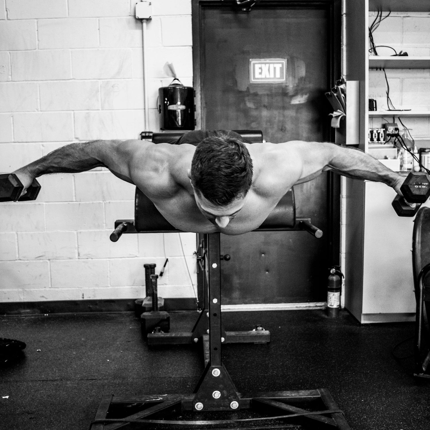 Swole Dumbbell Workouts! – Zeus Method